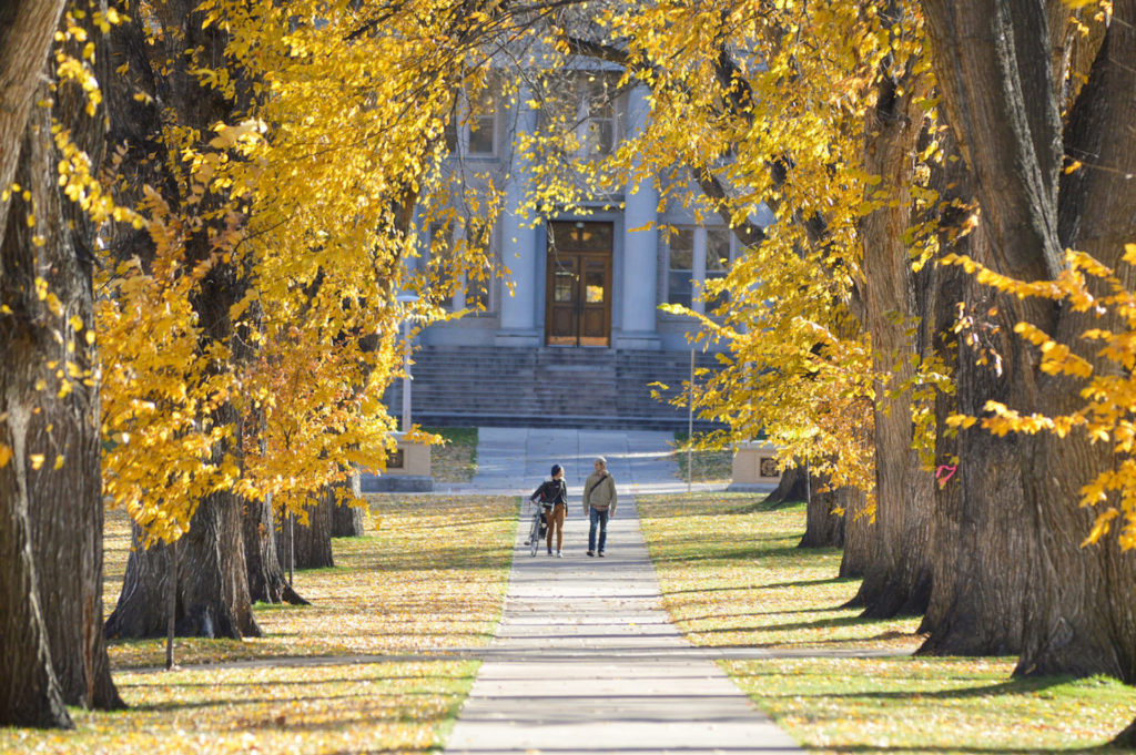 International Admissions - Colorado State University